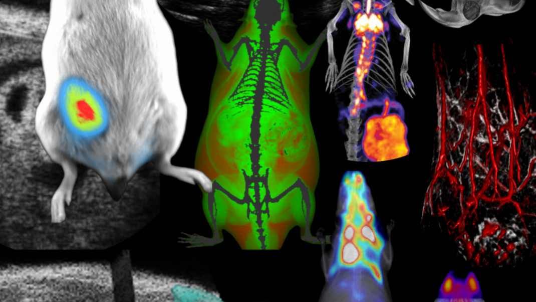 Imaging Systems – Scintica